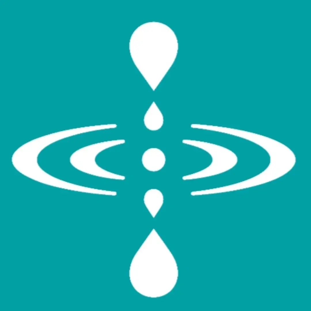 Manual Mindfulness: 6 Dimensões para Transformar Sua Vida.